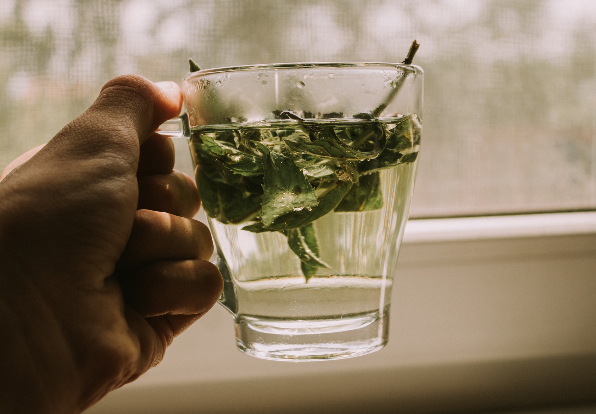 Moroccan Mint Tea Health Benefits